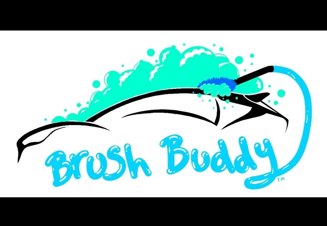 Brush Buddy for Cars